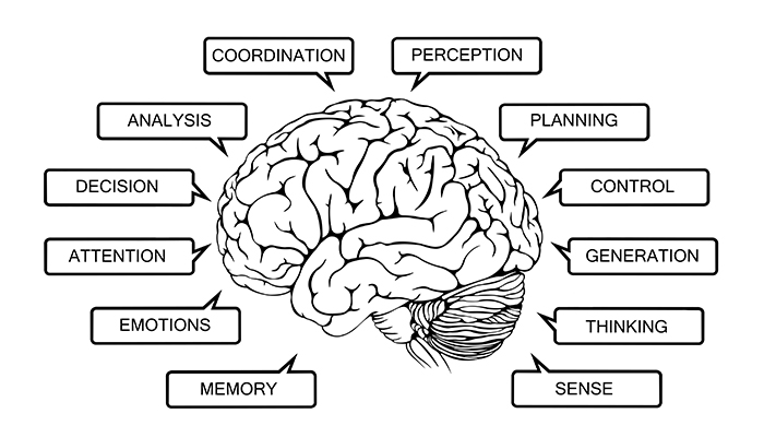 Does Brain Training Work Parent Care Management Services Does Brain Training Work Parent Care Management Services